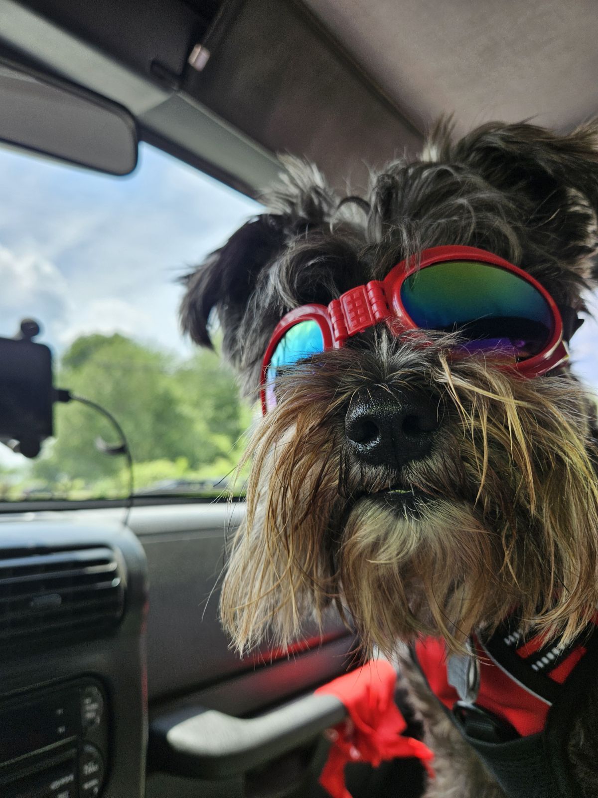 What did you do to your TJ today? | Page 2729 | Jeep Wrangler TJ Forum