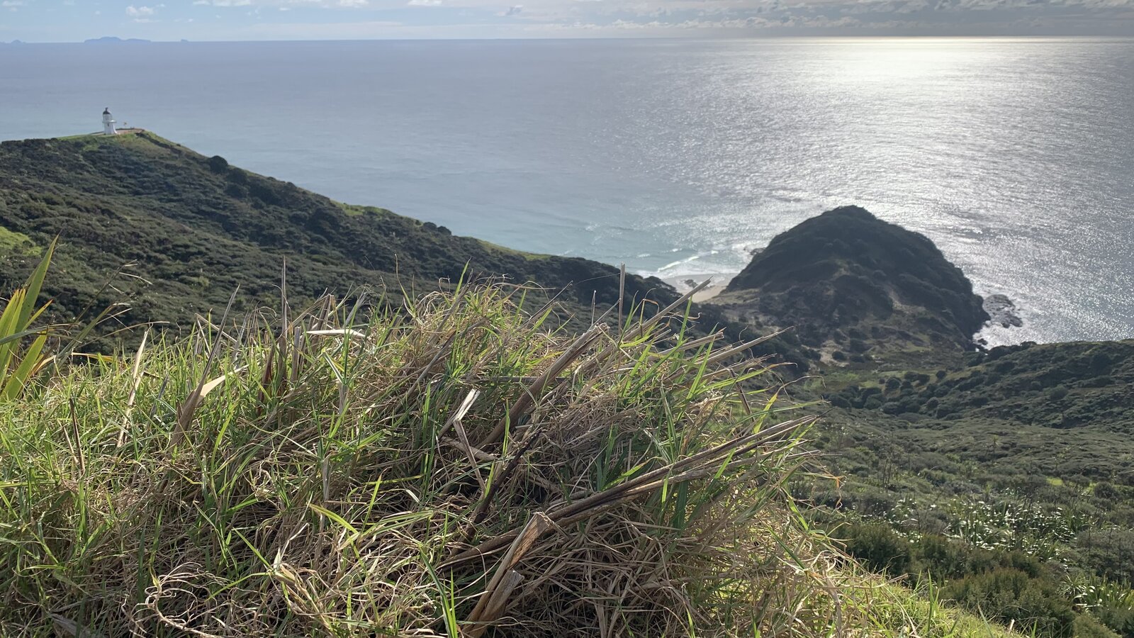 New Zealand Northland trip | Jeep Wrangler TJ Forum