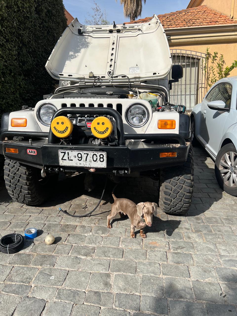 Setrab 53-10748 vs Setrab dual pass | Page 3 | Jeep Wrangler TJ Forum